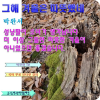 그해 겨울은 따뜻했네 해석 박완서 소설 해설 정리 네이버 블로그